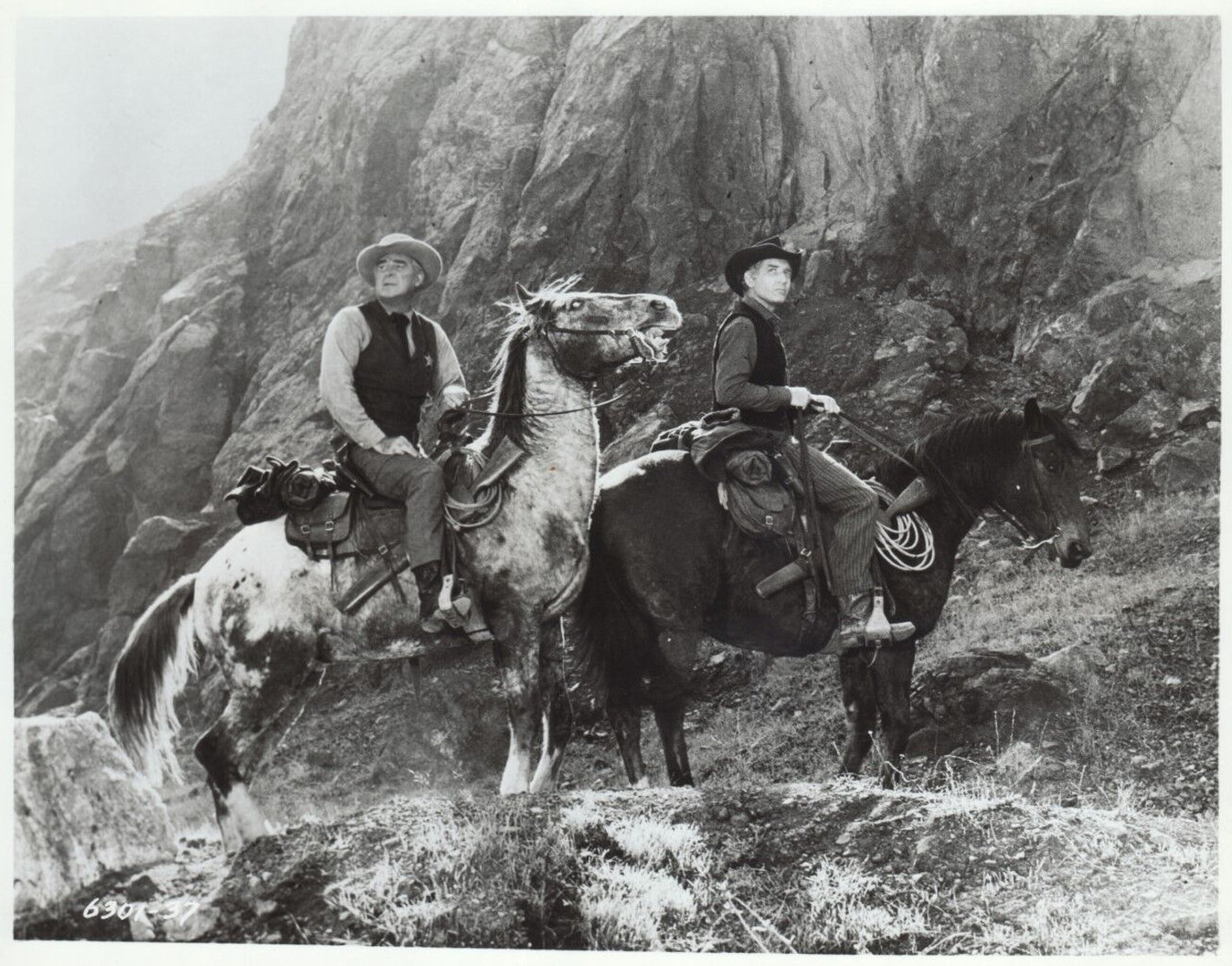 Rod Cameron, Morgan Woodward