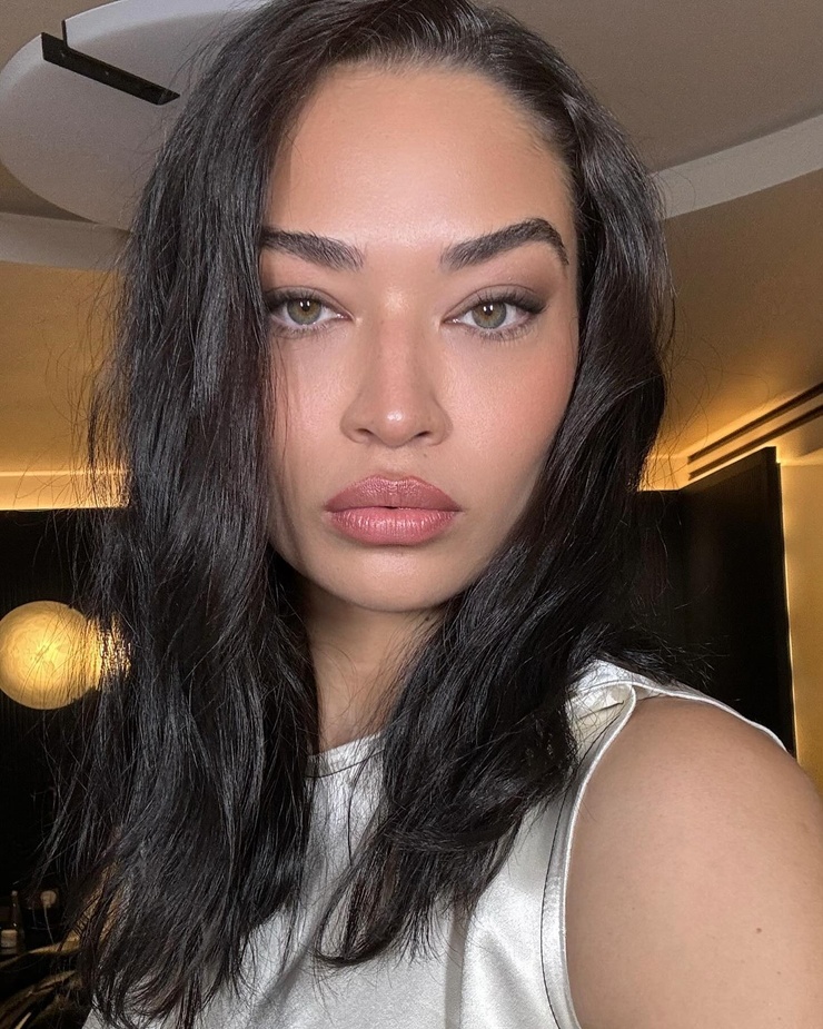 Shanina Shaik image