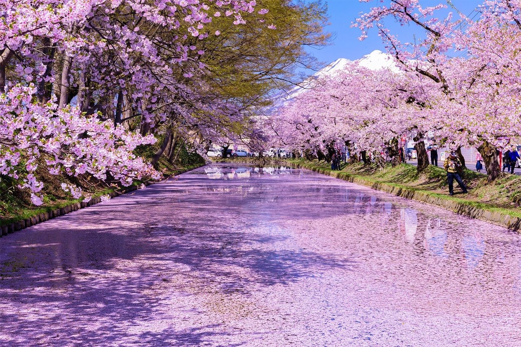 Spring in Japan