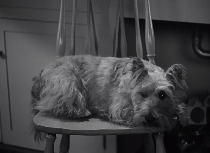 Without Love (1945) picture