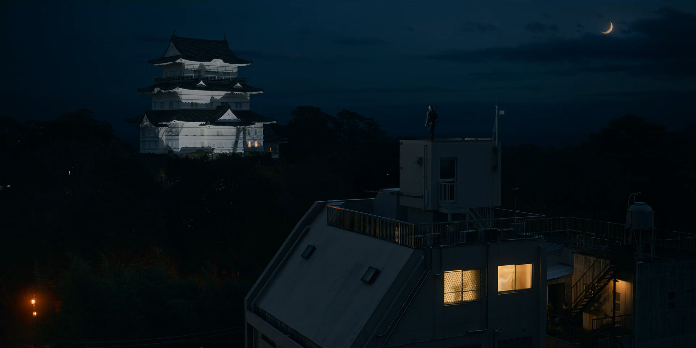 Picture of House of Ninjas