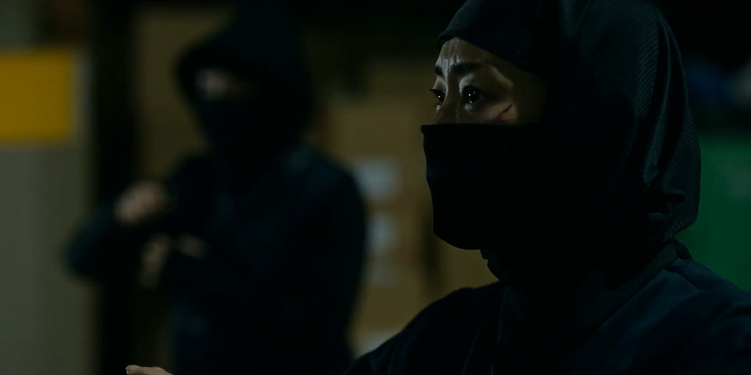 Picture of House of Ninjas