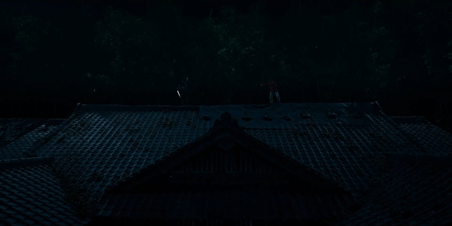 Picture of House of Ninjas