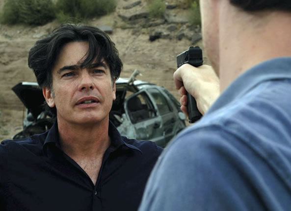 Picture of The War Boys