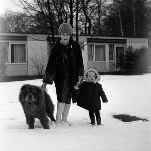 Ingrid van Bergen
