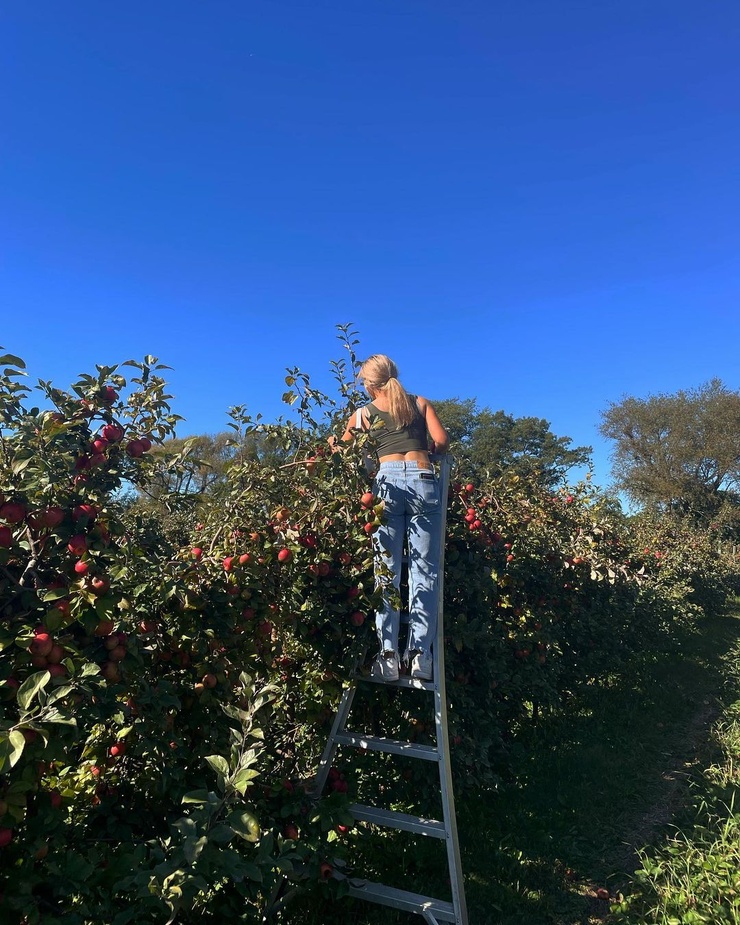 Picture of Korbin Albert