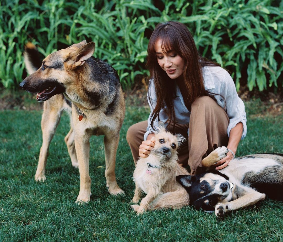 Picture of Maggie Q