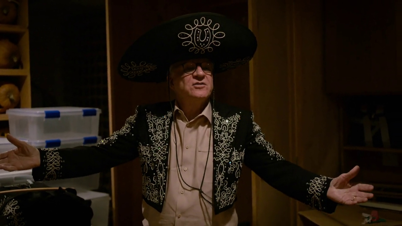 Picture of Steve! (Martin): A Documentary in 2 Pieces