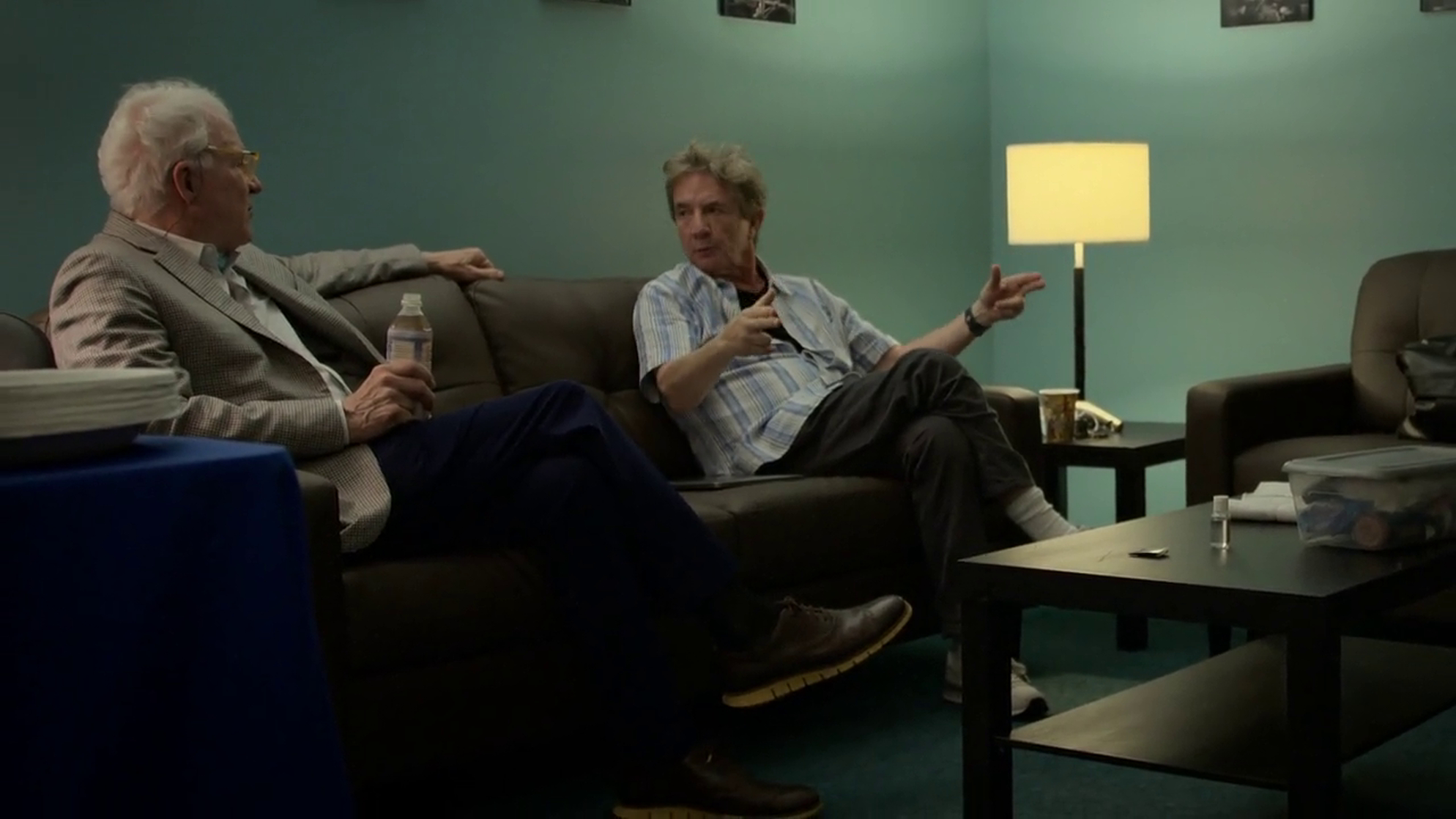 Picture of Steve! (Martin): A Documentary in 2 Pieces