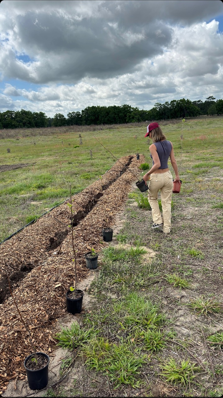 Image of Rachel Cook