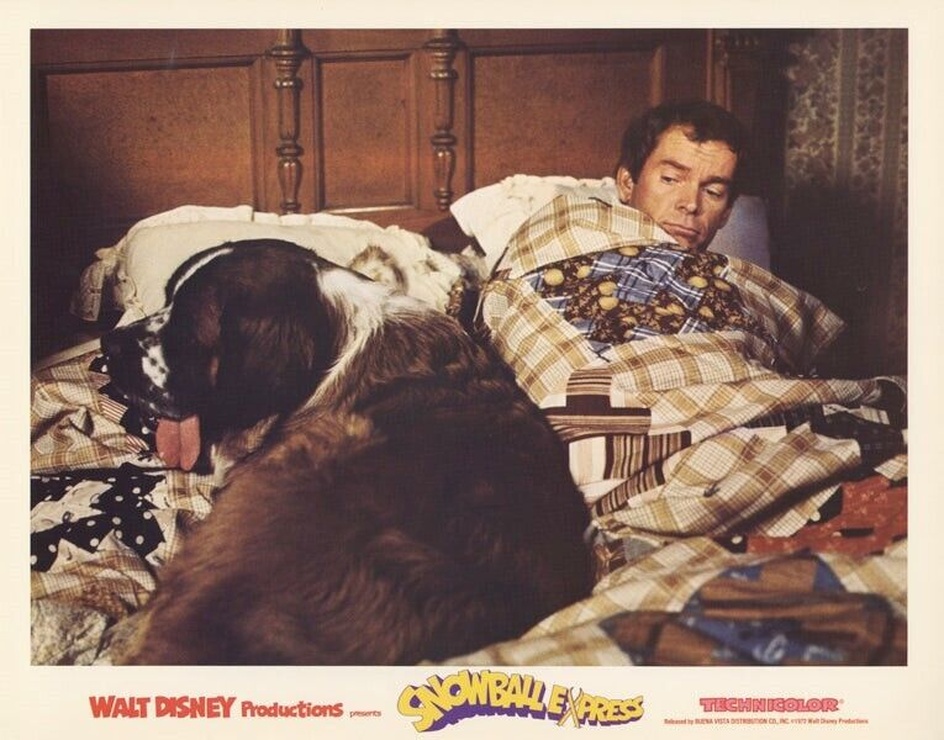 Snowball Express (1972)
