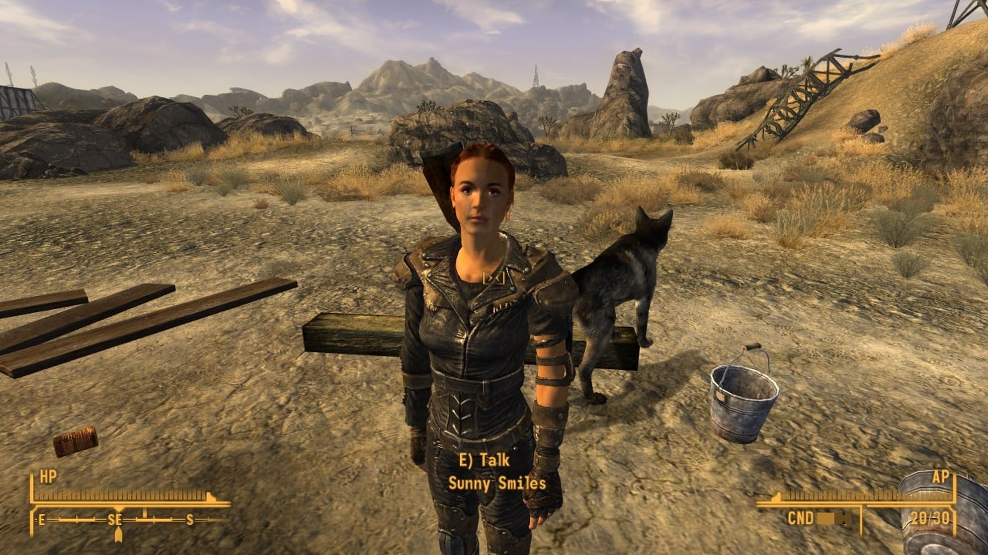 Picture of Sunny Smiles