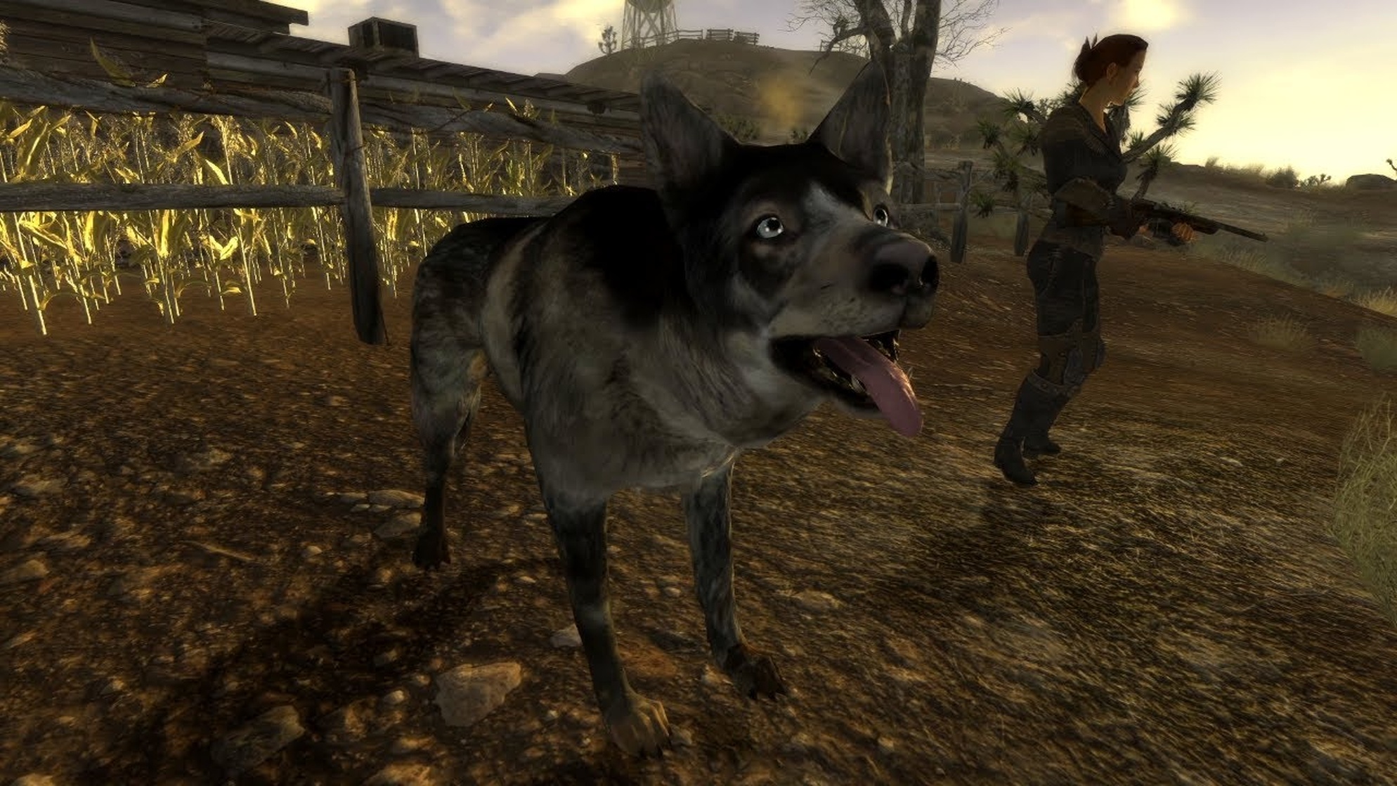 Picture of Cheyenne (Fallout)