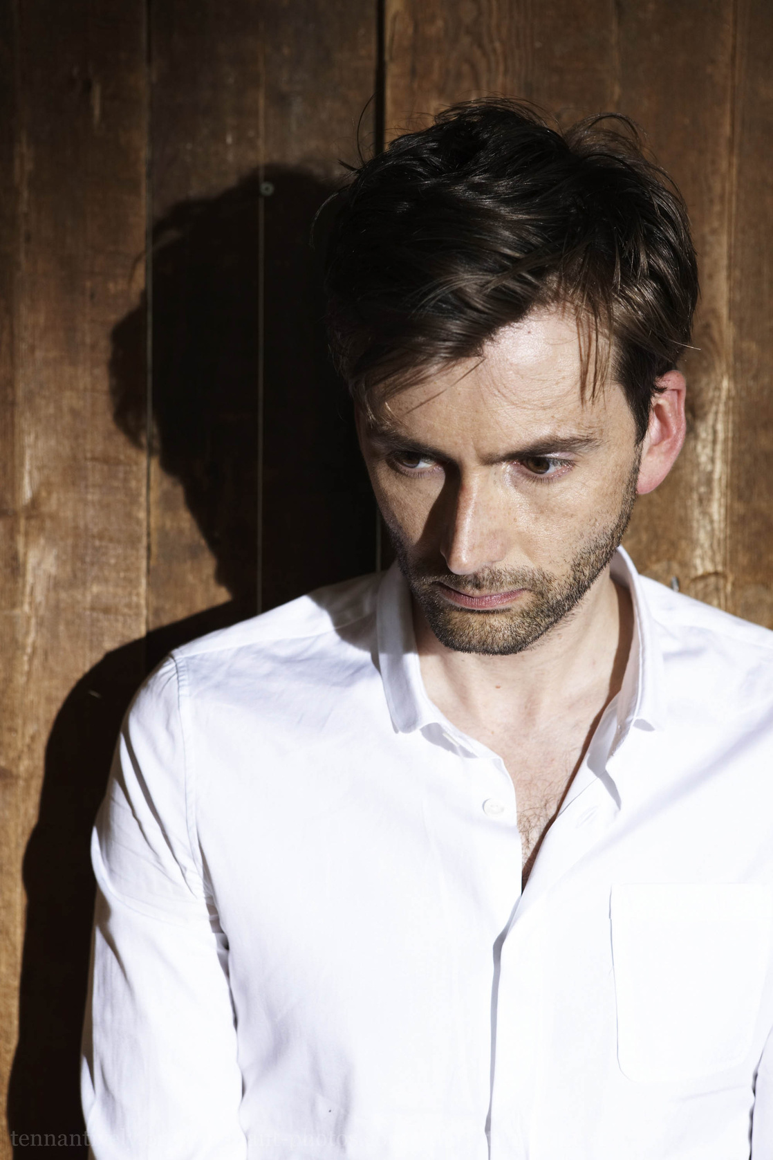 Picture of David Tennant