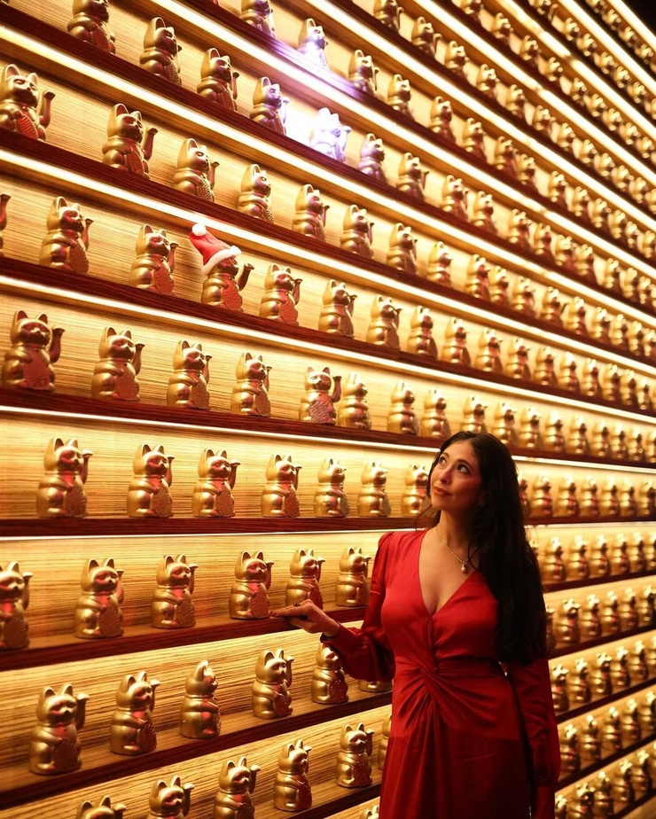 Image of Katie DiCicco