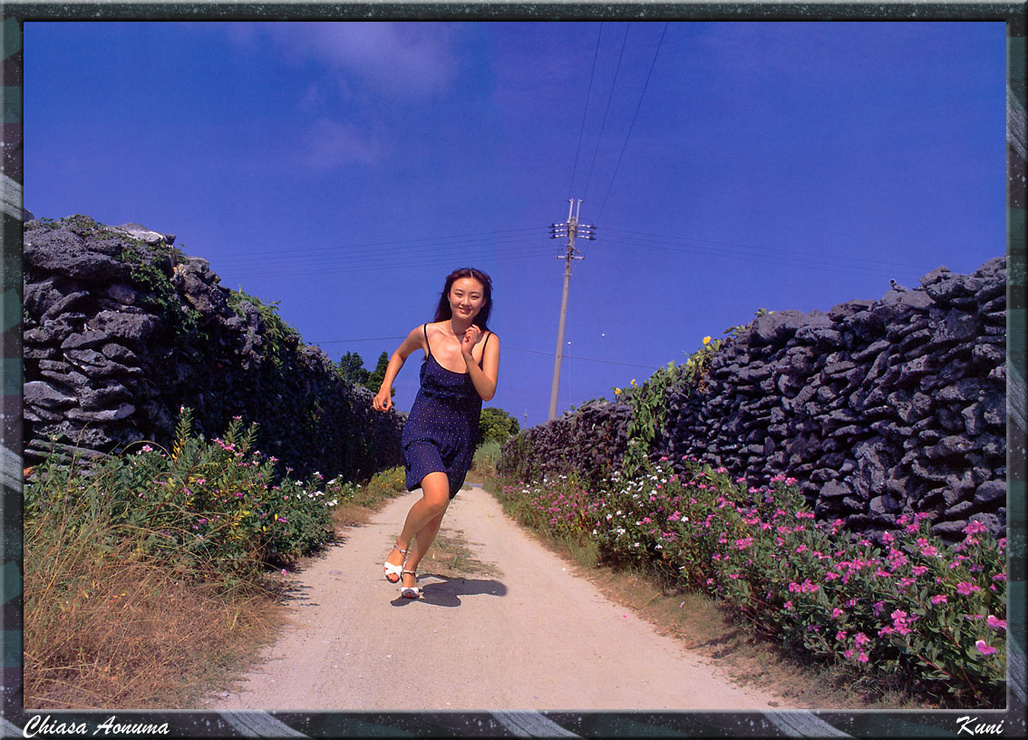 Picture of Chiasa Aonuma