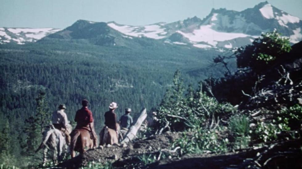 Sasquatch: The Legend of Bigfoot image
