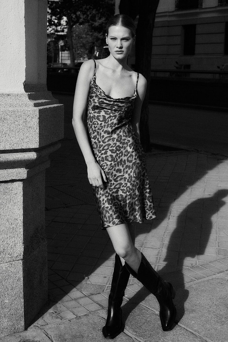 Picture Of Vitalia Lautina