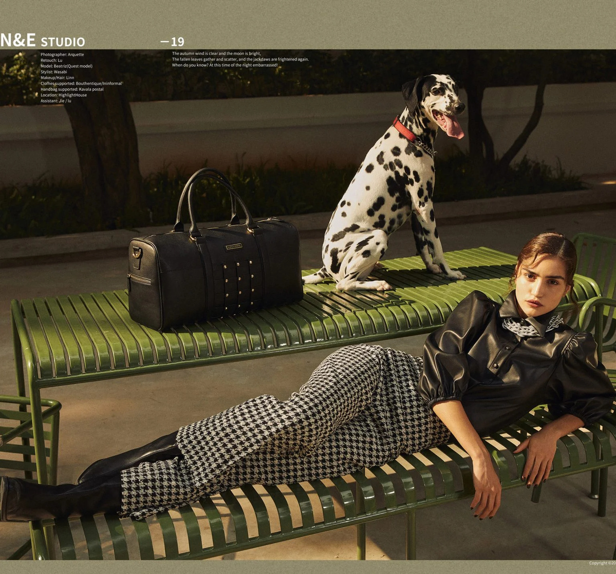 Picture of Beatriz Brollo