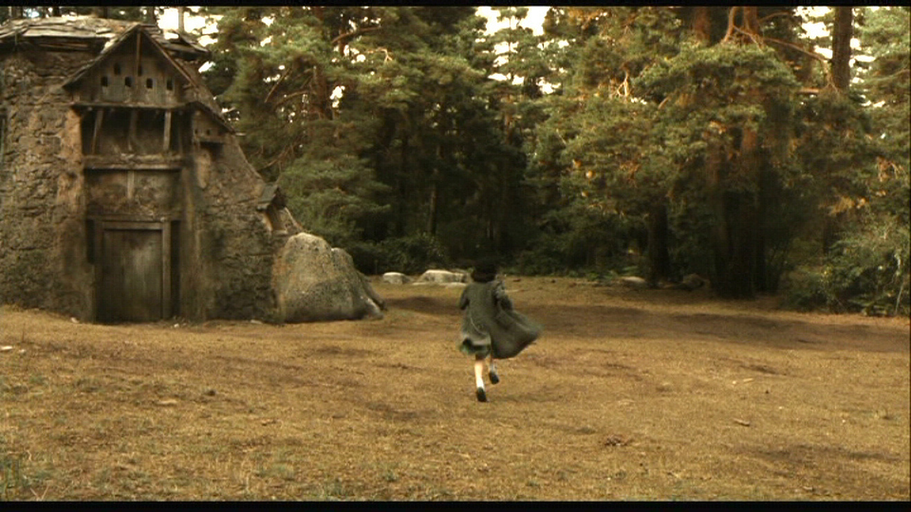 Pan's Labyrinth image