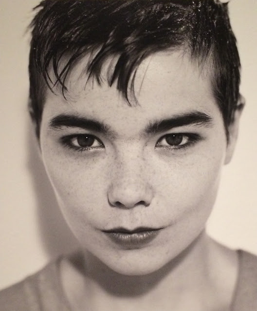Picture of Björk