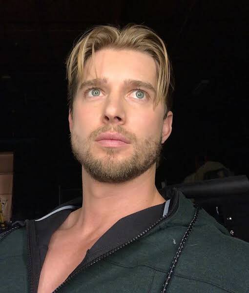 Drew Van Acker picture