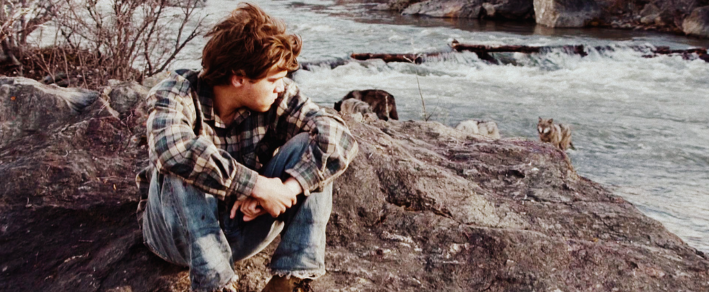 Picture of Into the Wild