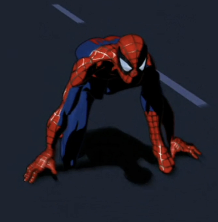 Picture of Spider-Man (TNAS)
