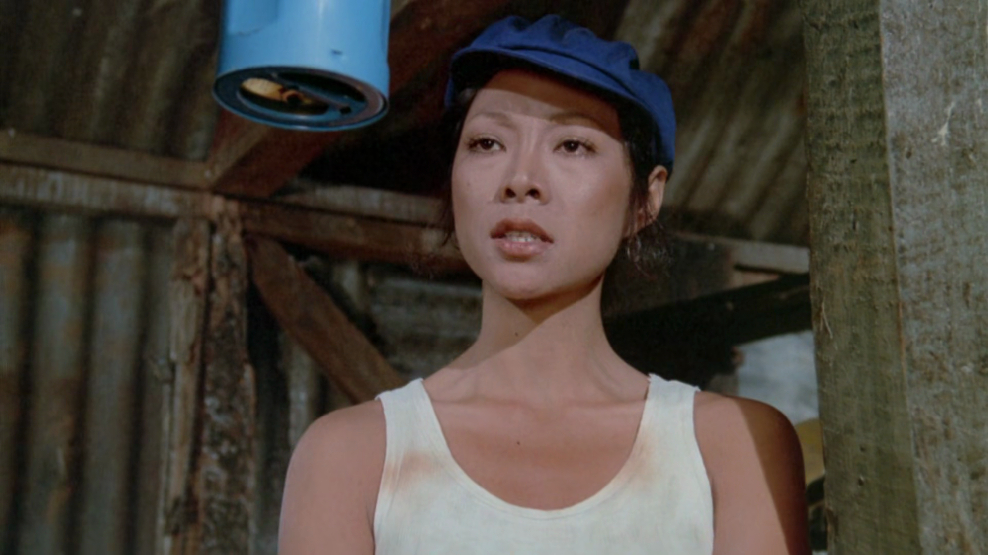 Picture of Paper Tiger