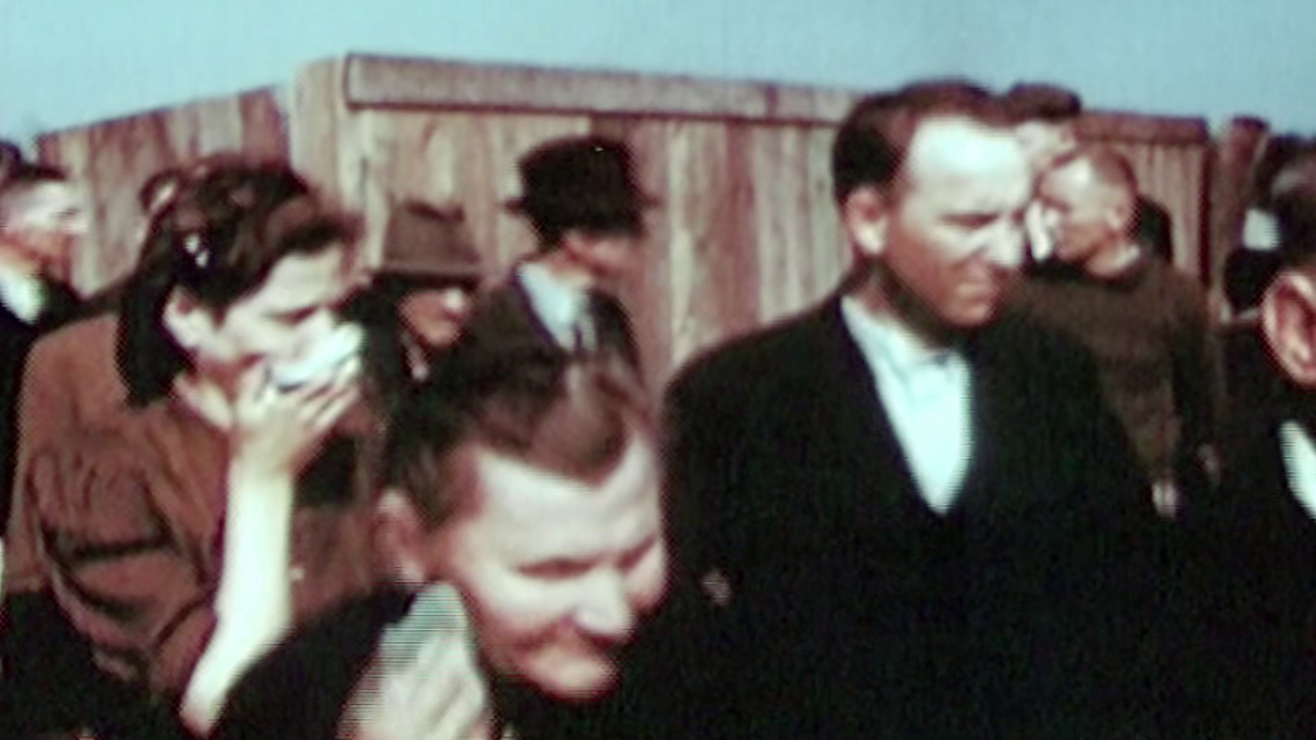 Image of Night Will Fall