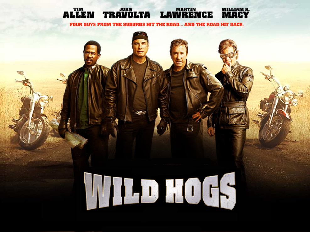 Picture of Wild Hogs