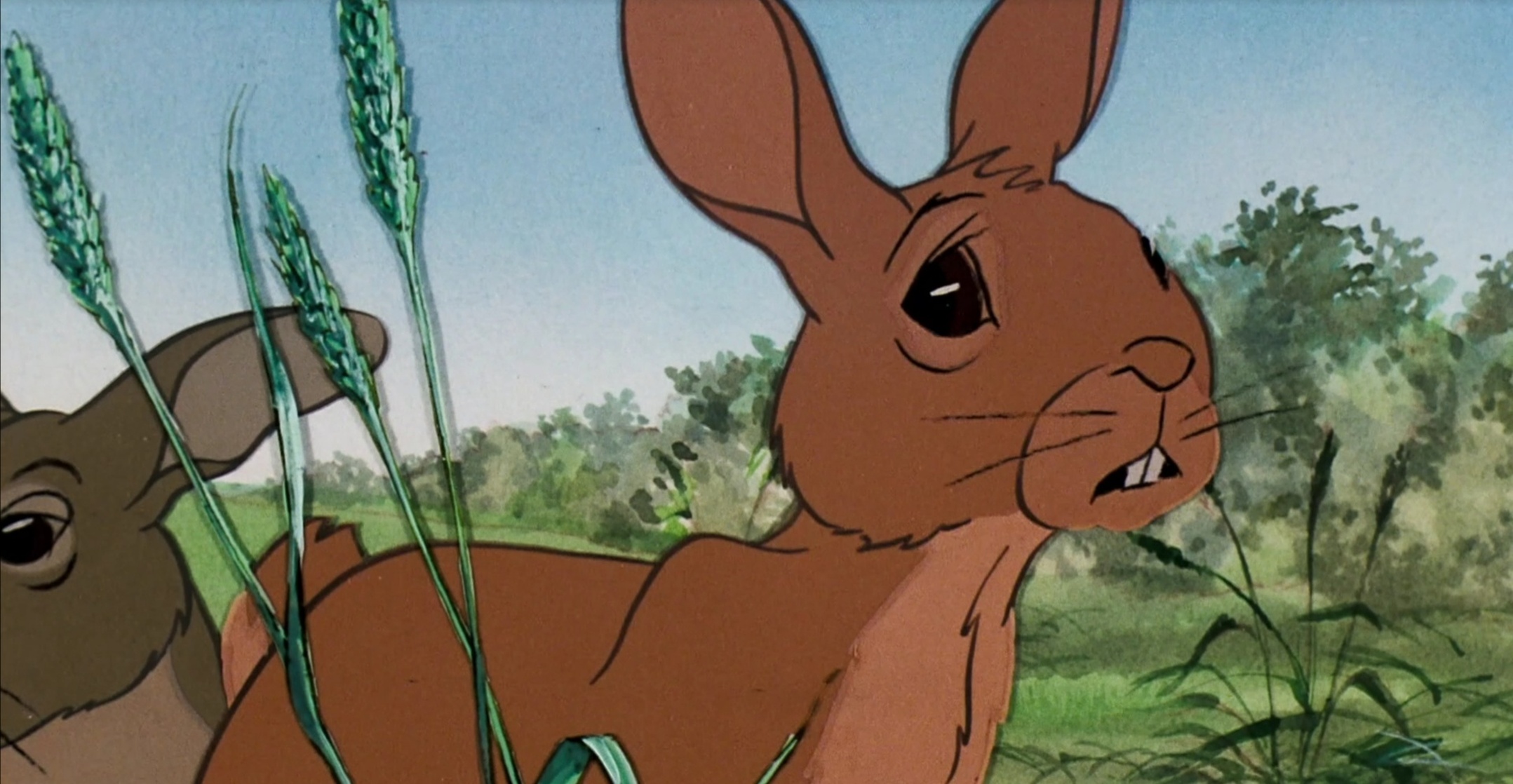 Picture of Watership Down