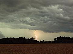 Picture of NBC Weather Plus