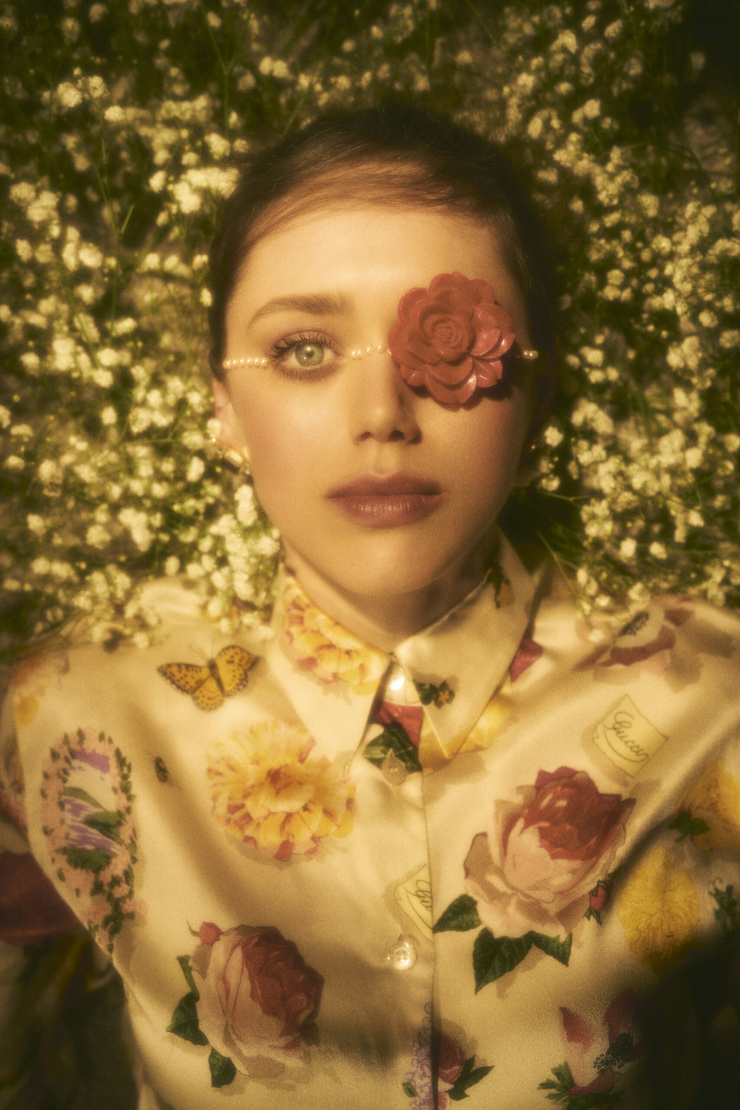 Picture of Daisy Head