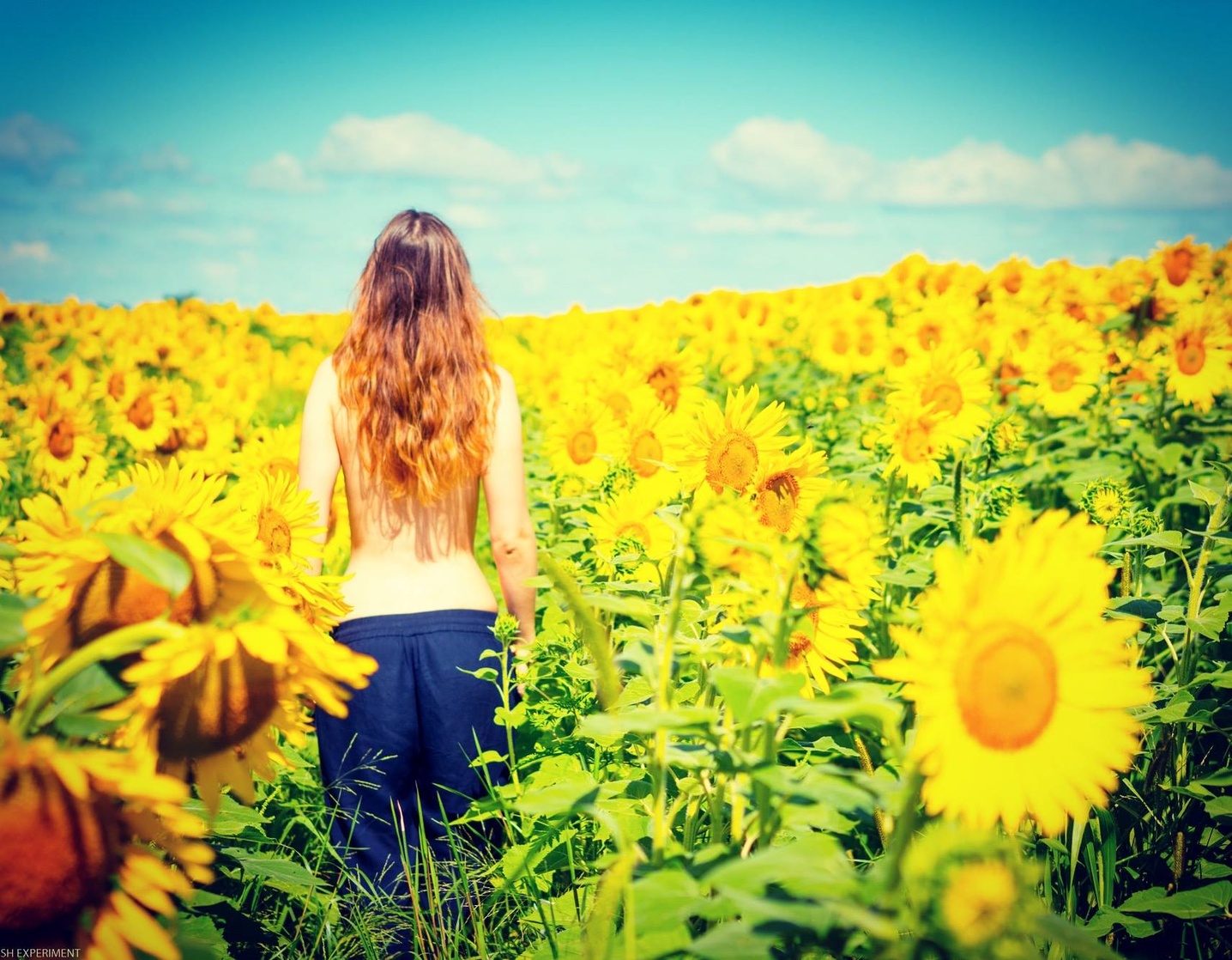 Picture of Piper Blush