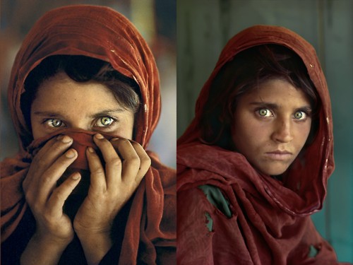 Picture of Sharbat Gula