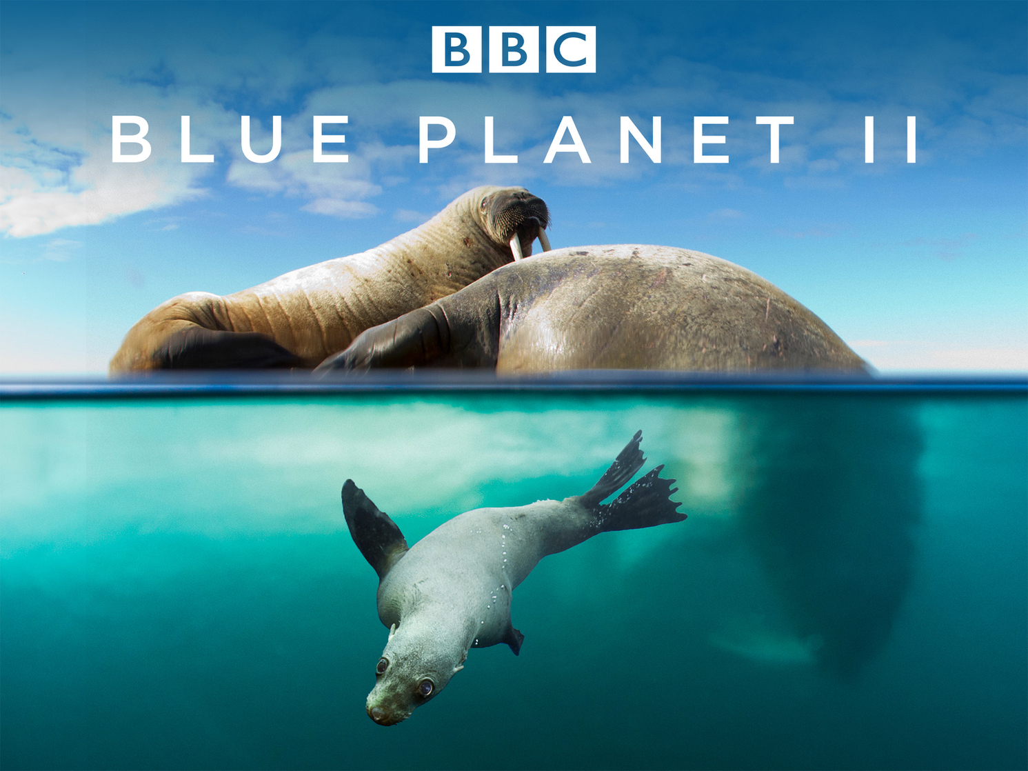 Picture of Blue Planet II