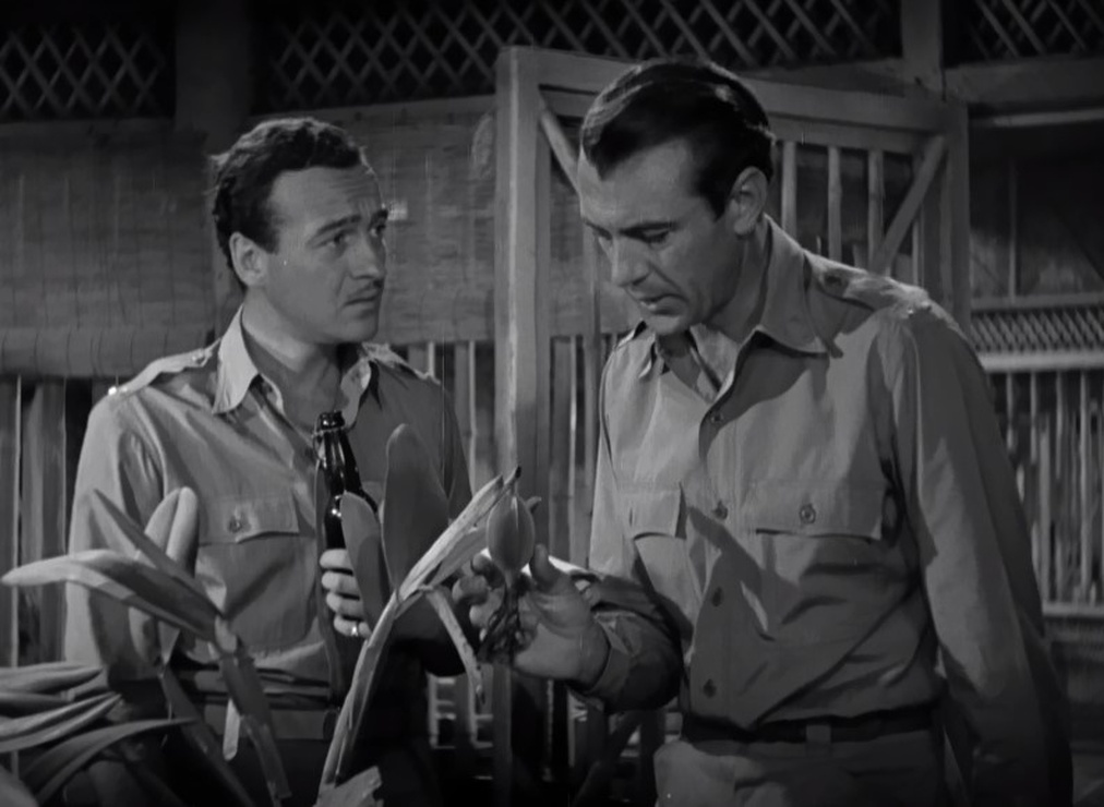 David Niven and Gary Cooper