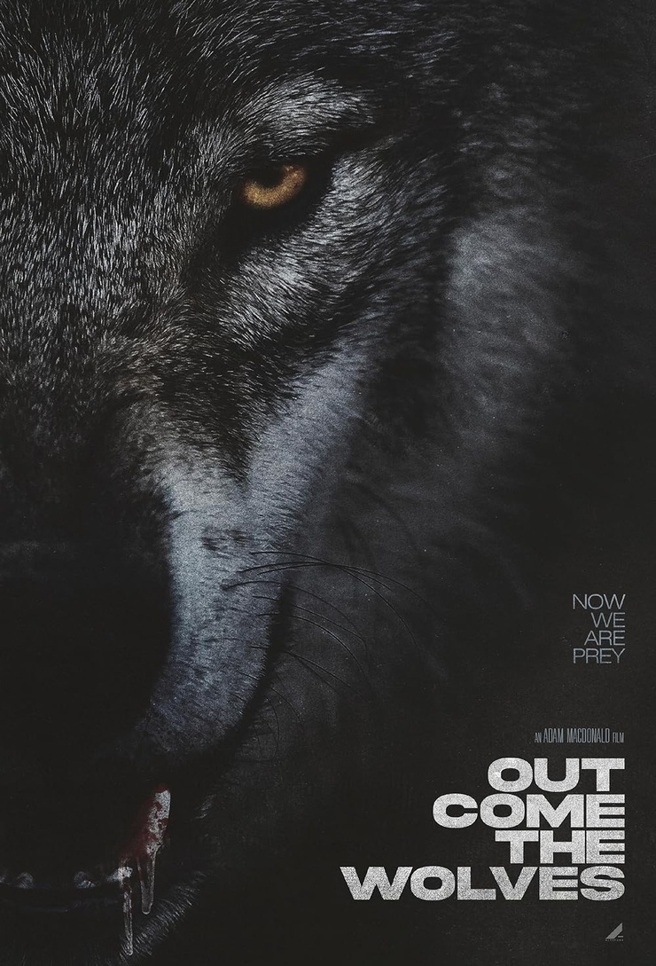 Out Come the Wolves image