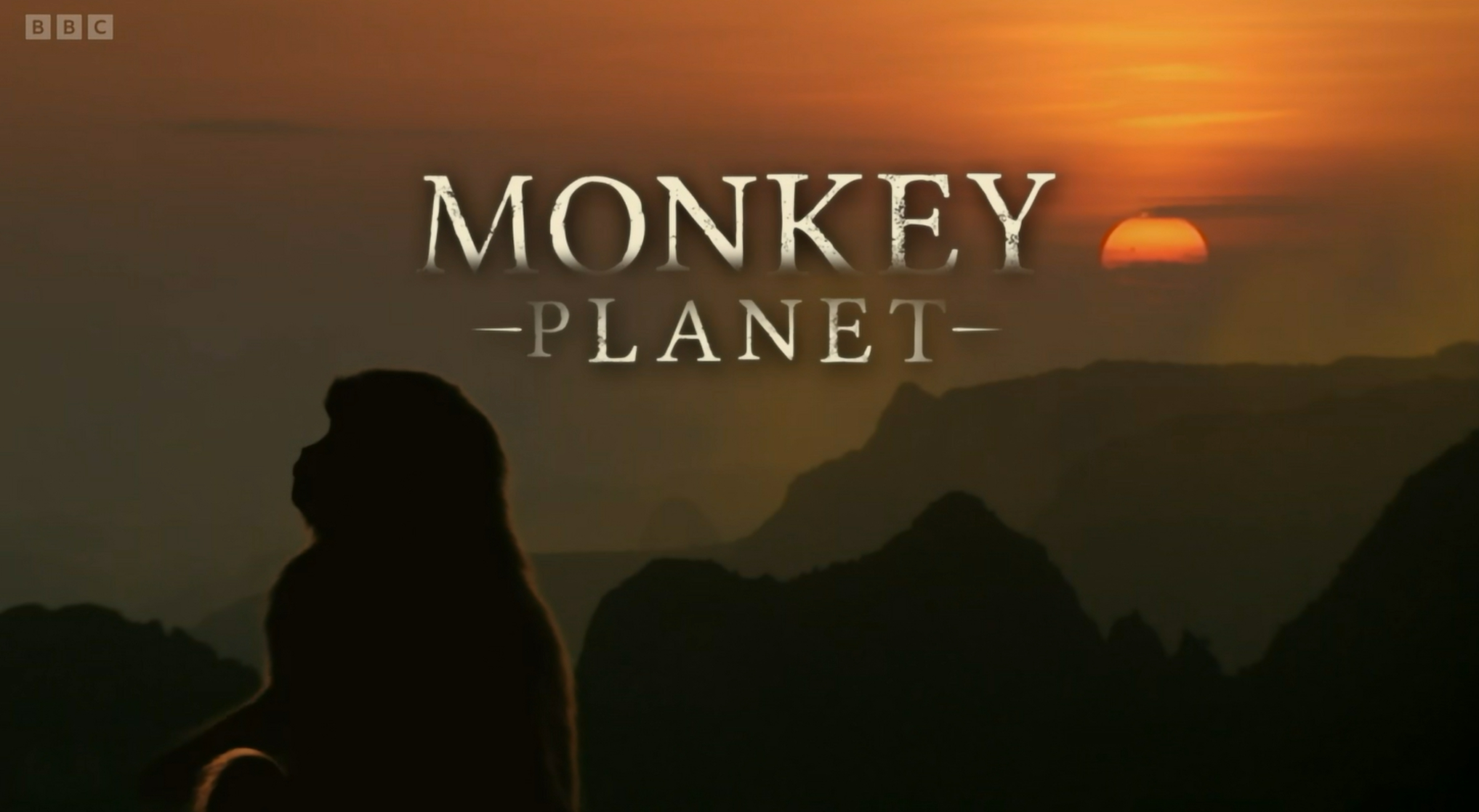 Picture of Monkey Planet