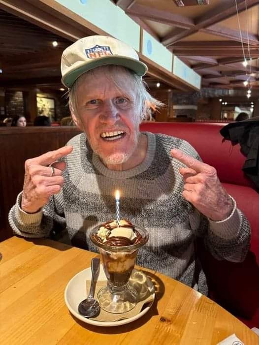 Picture of Gary Busey