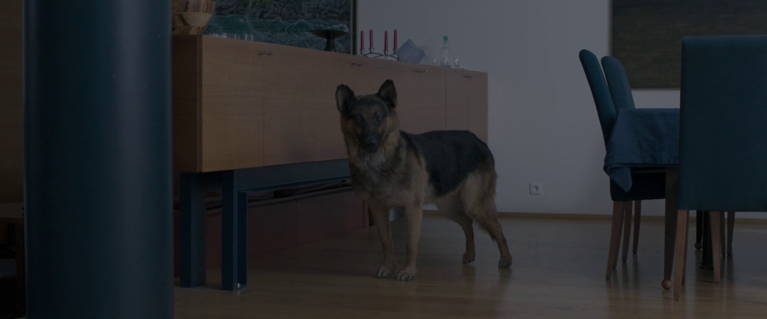 Image of Under the Tree (2017)