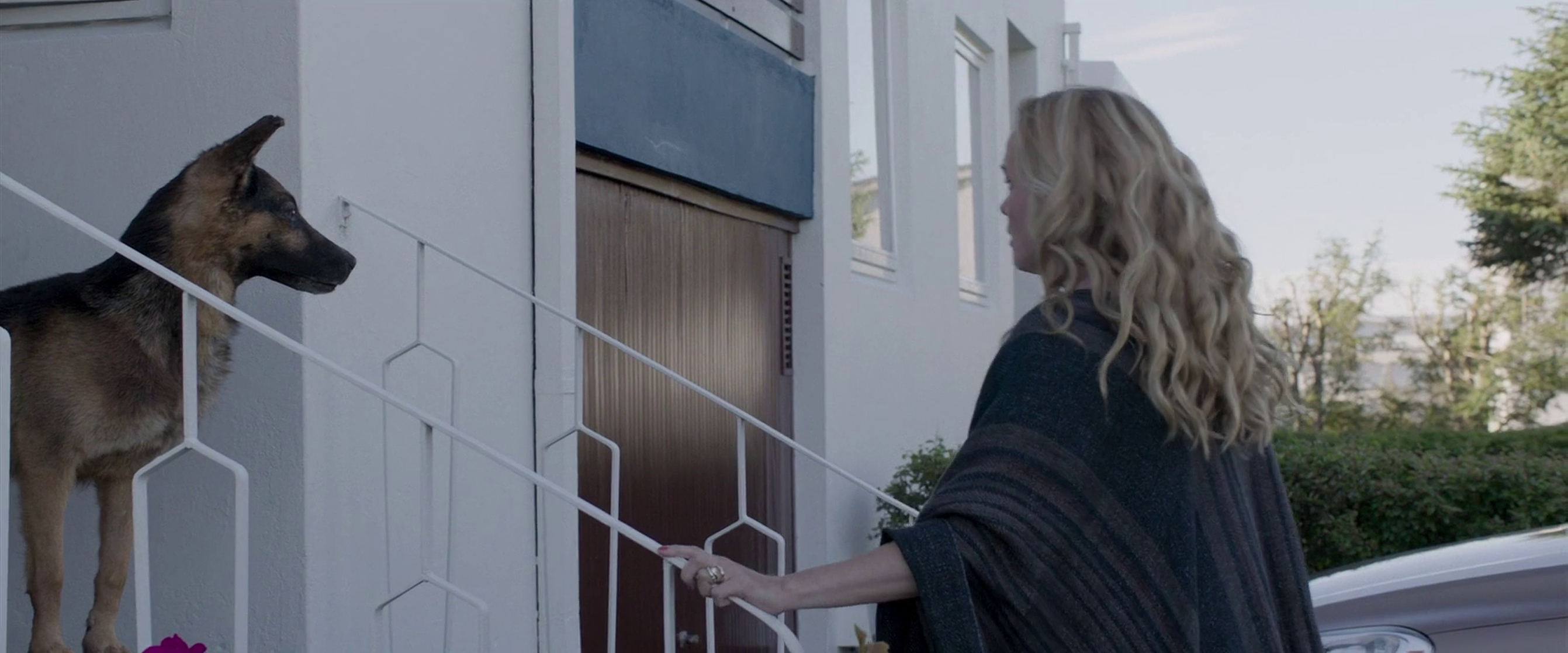 Picture of Under the Tree (2017)