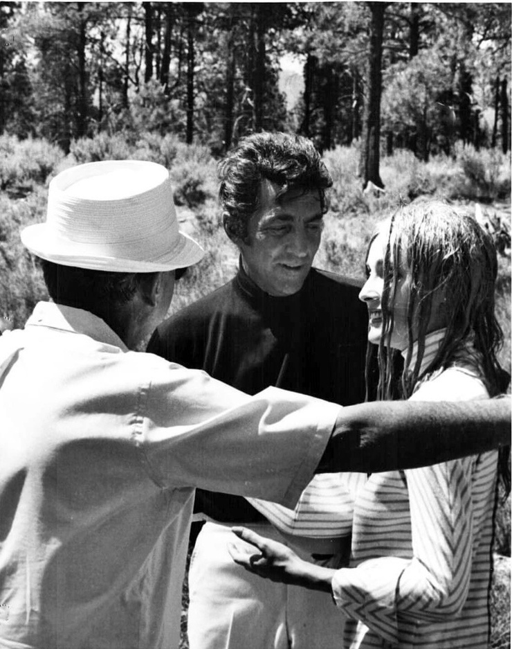 The Wrecking Crew (1968) picture