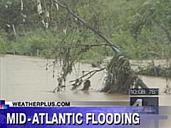 Picture of NBC Weather Plus