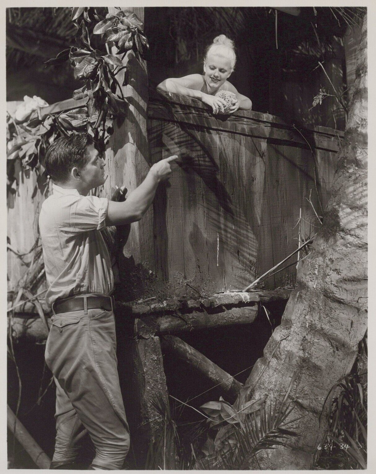 Red Dust (1932) picture