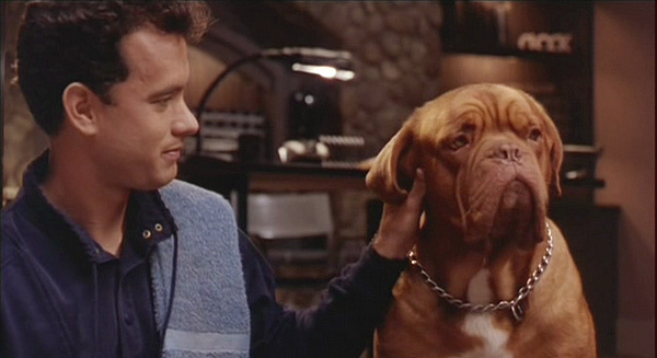 Picture of Turner & Hooch