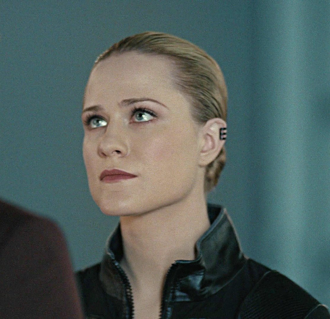 Picture of Evan Rachel Wood