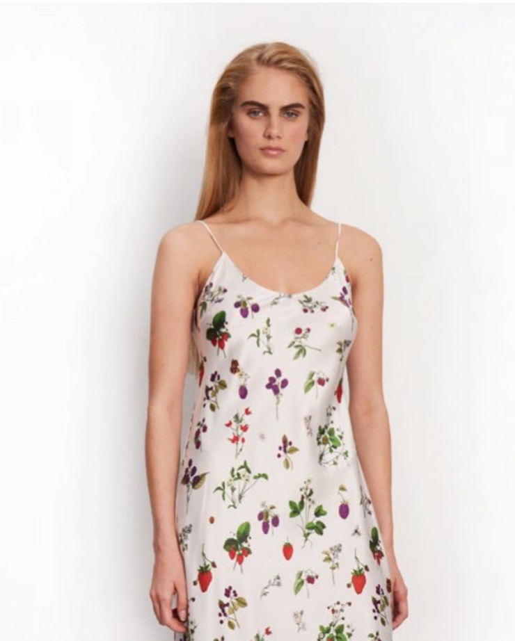 Picture of CICELY ROSE