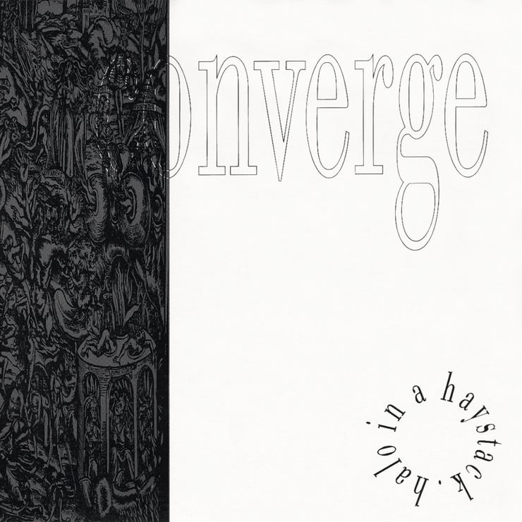 Picture of Halo in a Haystack